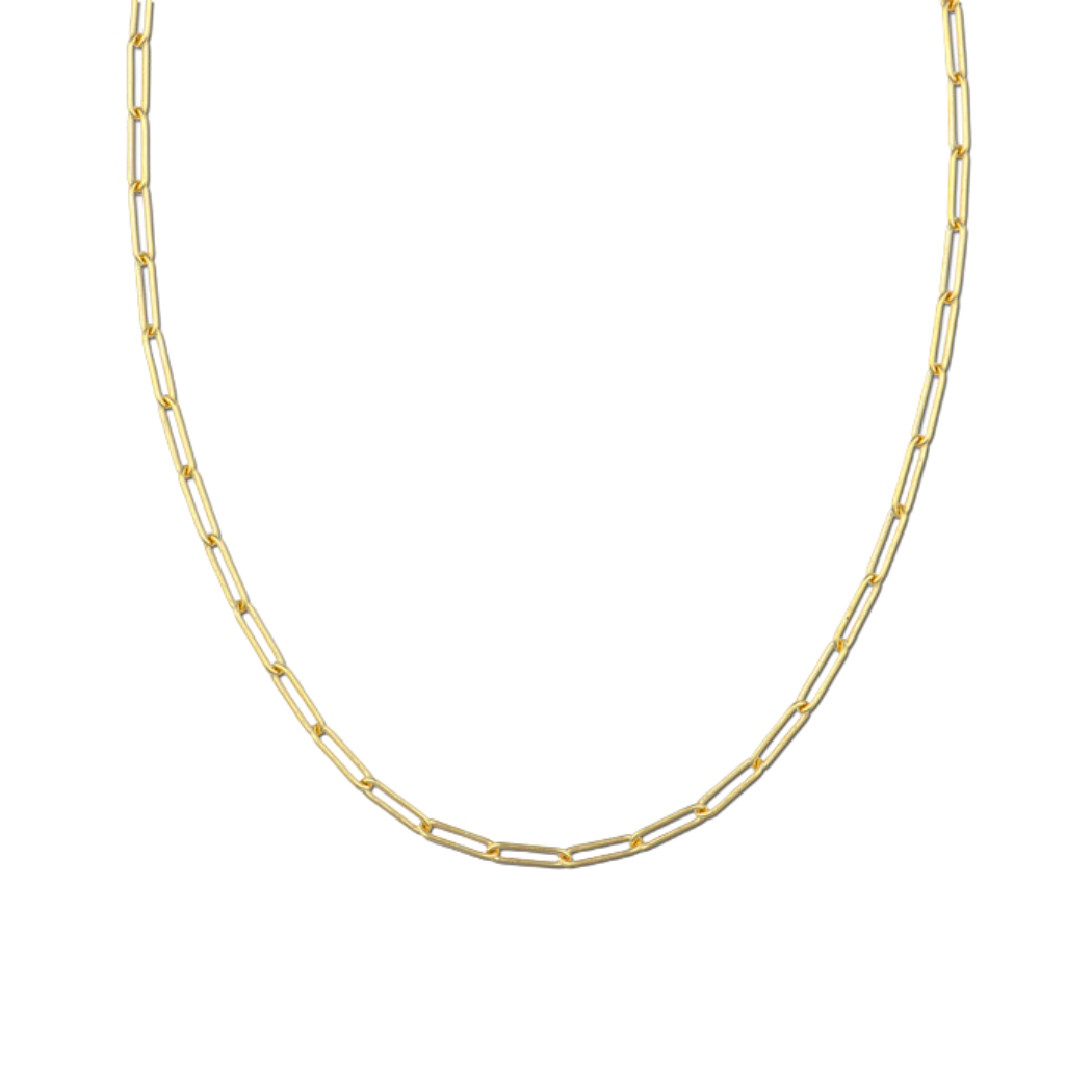 Long Link Chain 22